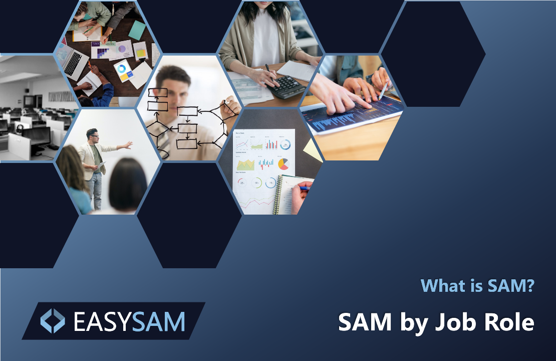 SAM by Job Role - EasySAM