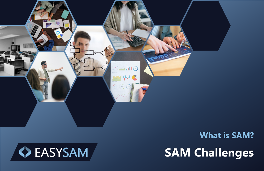 SAM Challenges - EasySAM