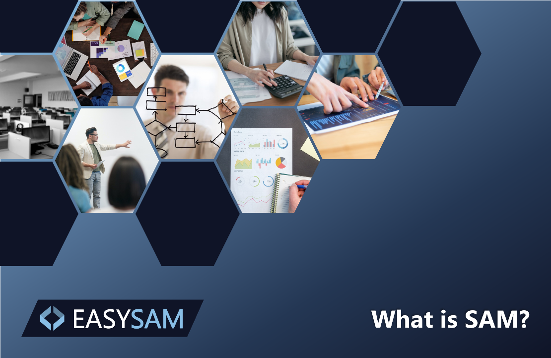 What is SAM? - EasySAM