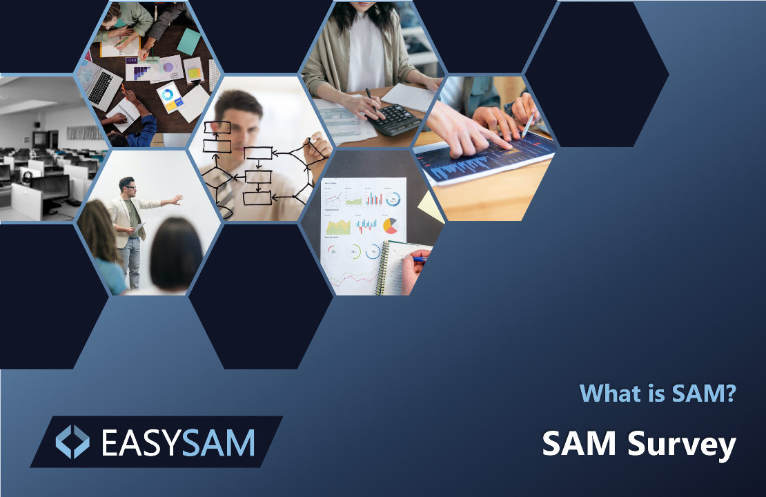 SAM Survey - EasySAM